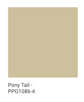 Pony Tail Paint Color