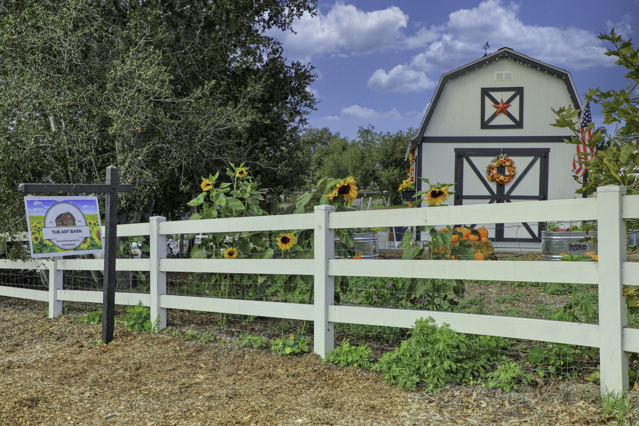 Tuff Shed Barn for Professional Photographer Caron's Art