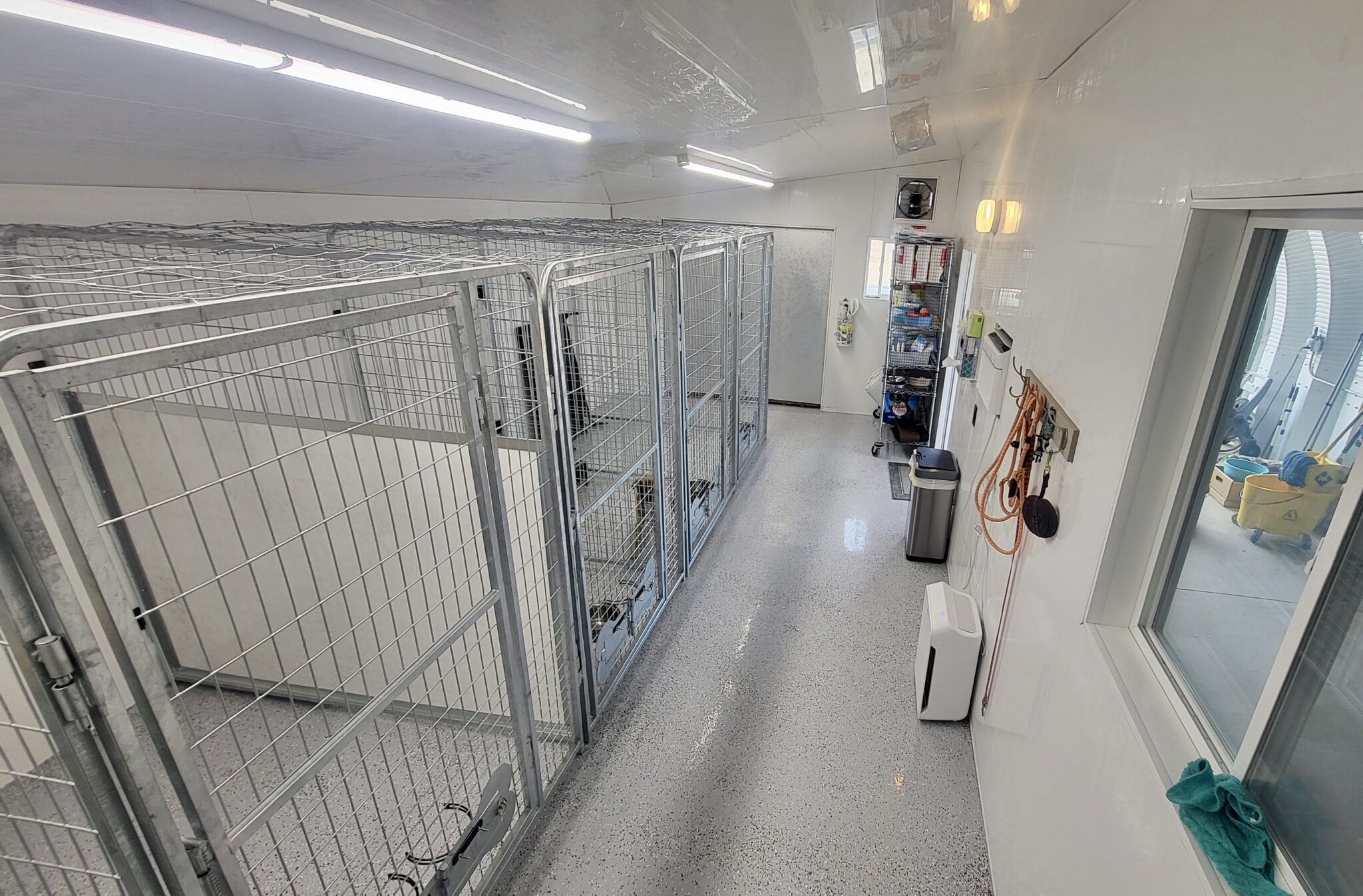 A Lifeline For Arizona's Furry Friends - Tuff Shed