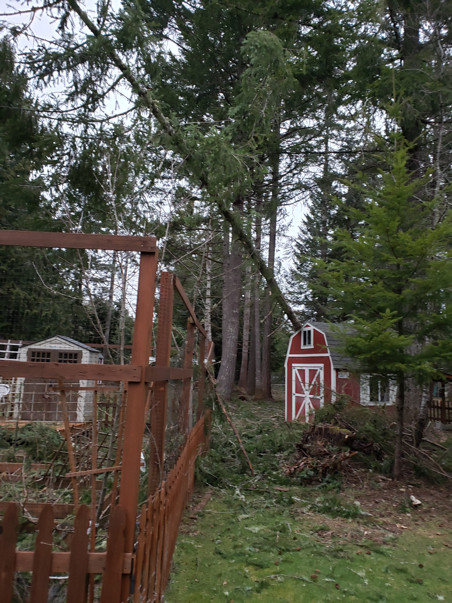 Tuff Shed Stands Strong: How It Survived a Windstorm in Washington