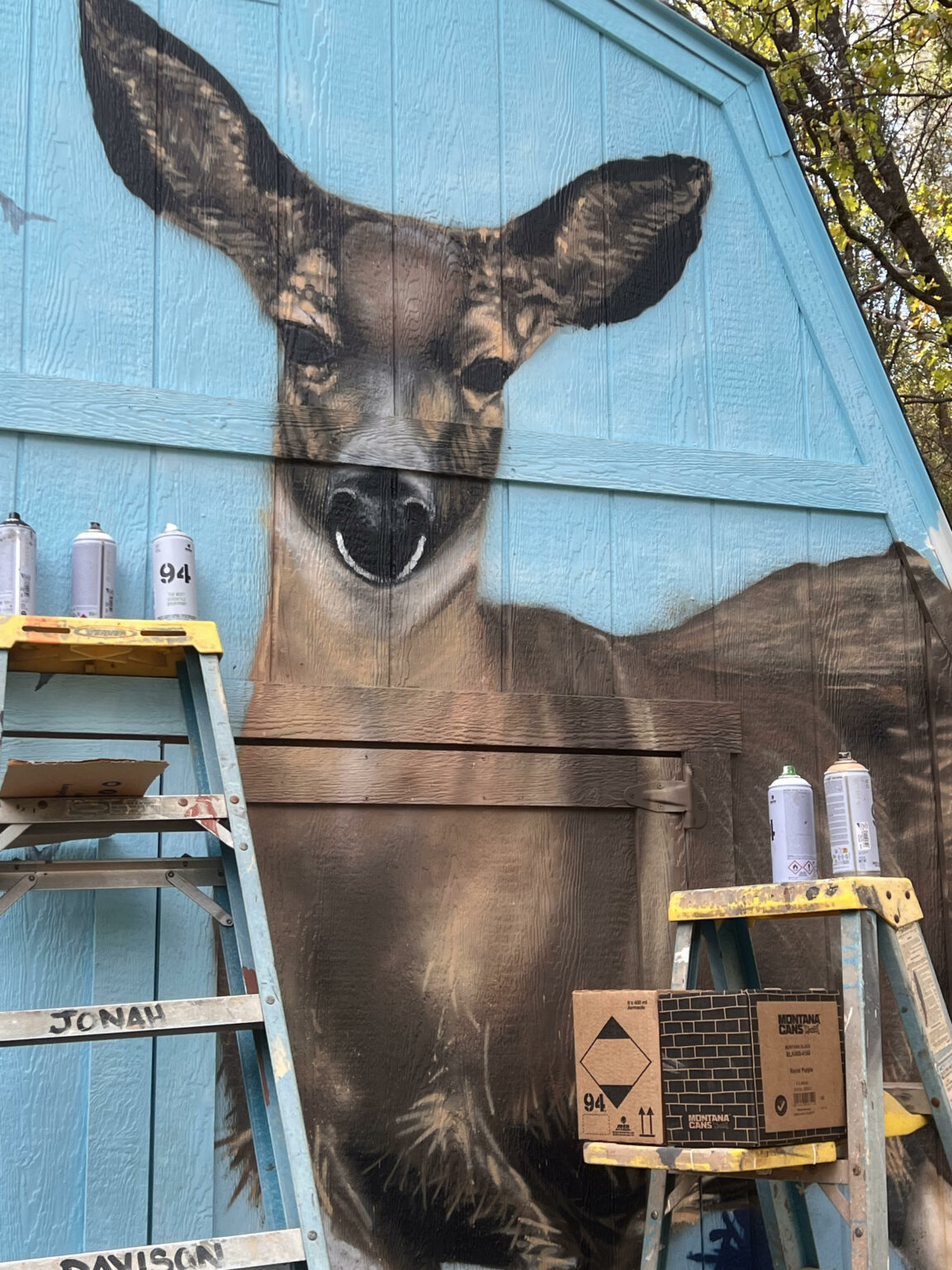 Aaron’s Tuff Shed Mural - Tuff Shed